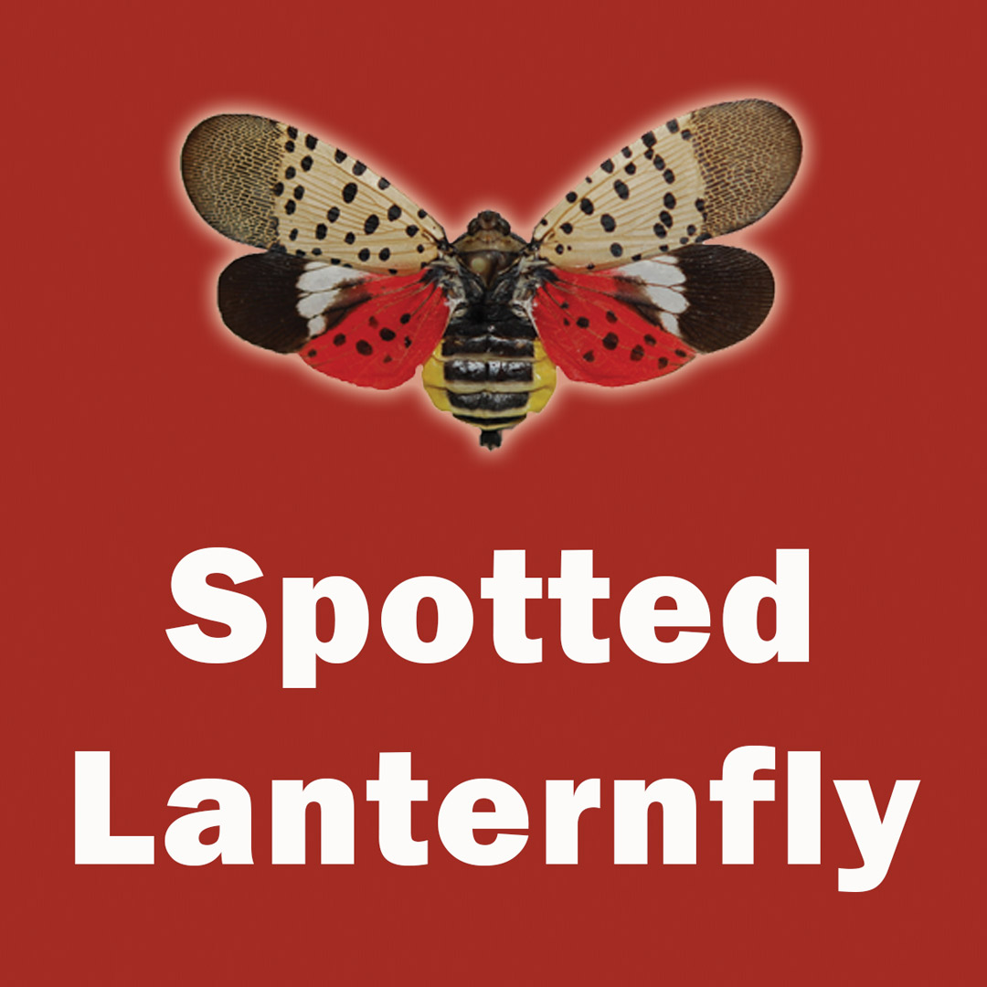 PA State Rep. David Maloney